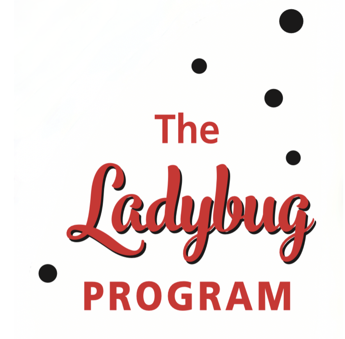 Home - The Ladybug Program